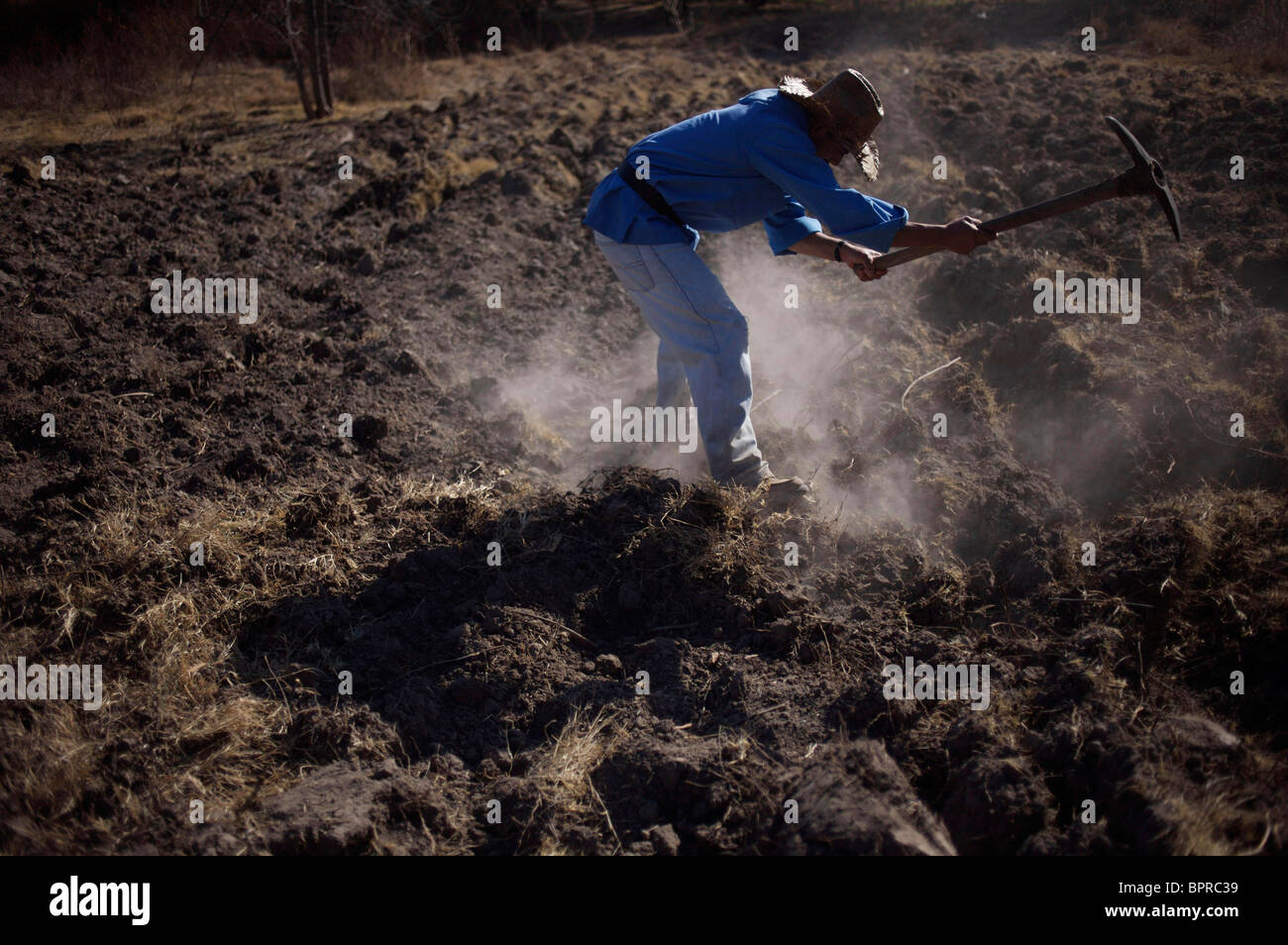 A monk works in the field at Our Lady of Solitude monastery in ...
