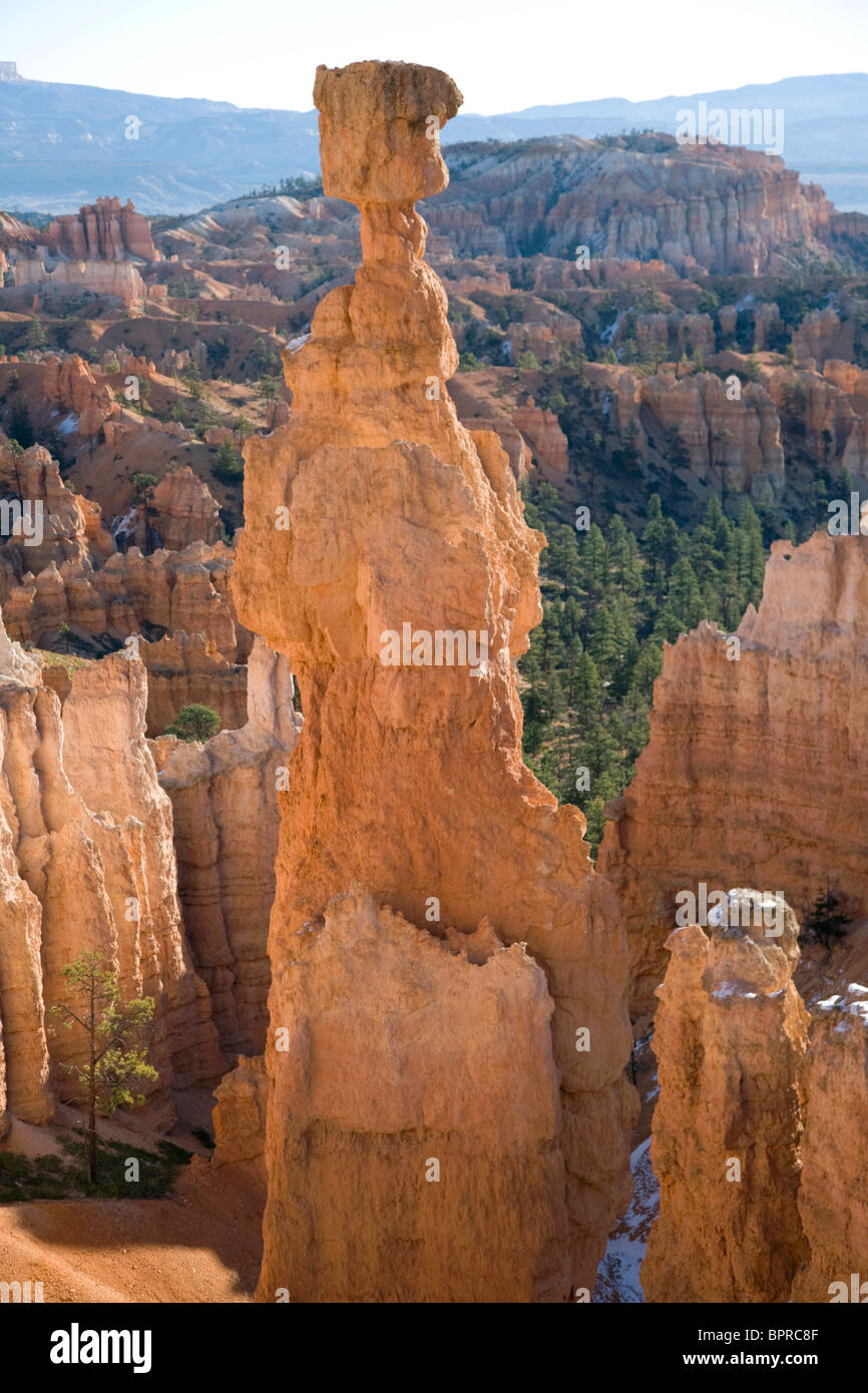 Thors Hammer formation just below Sunset Point in Bryce Canyon National ...