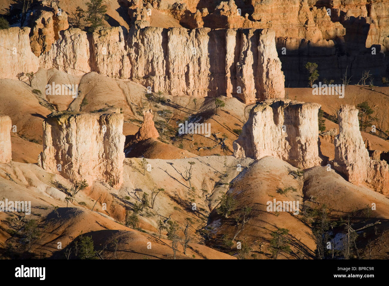 View of Bryce Amphitheater from the Rim Trail in Bryce Canyon National ...