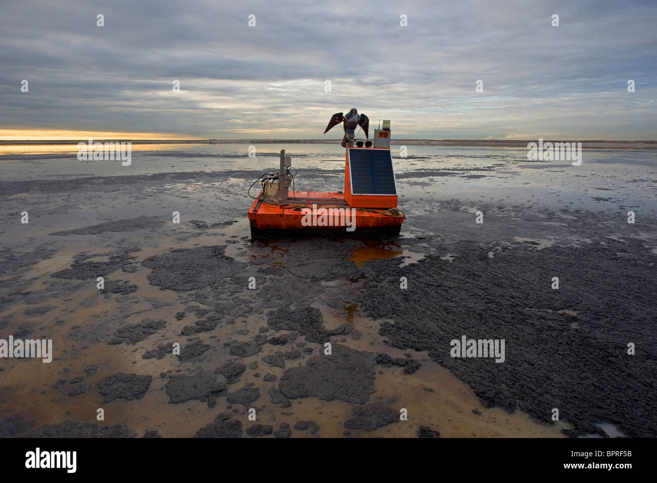Albian sands energy hi-res stock photography and images - Alamy
