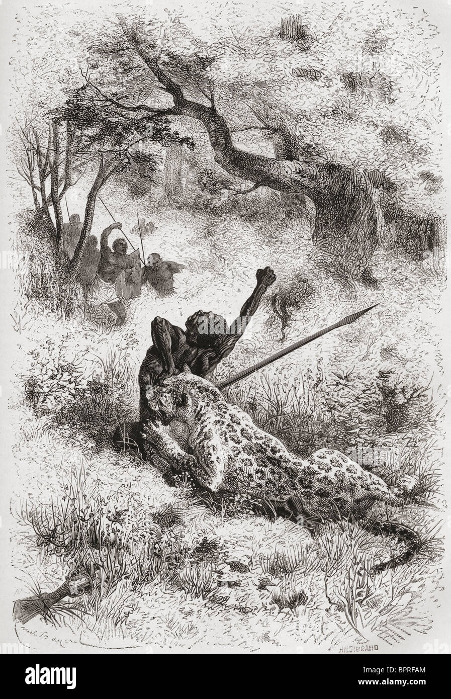 Farm Animals Attacking Humans