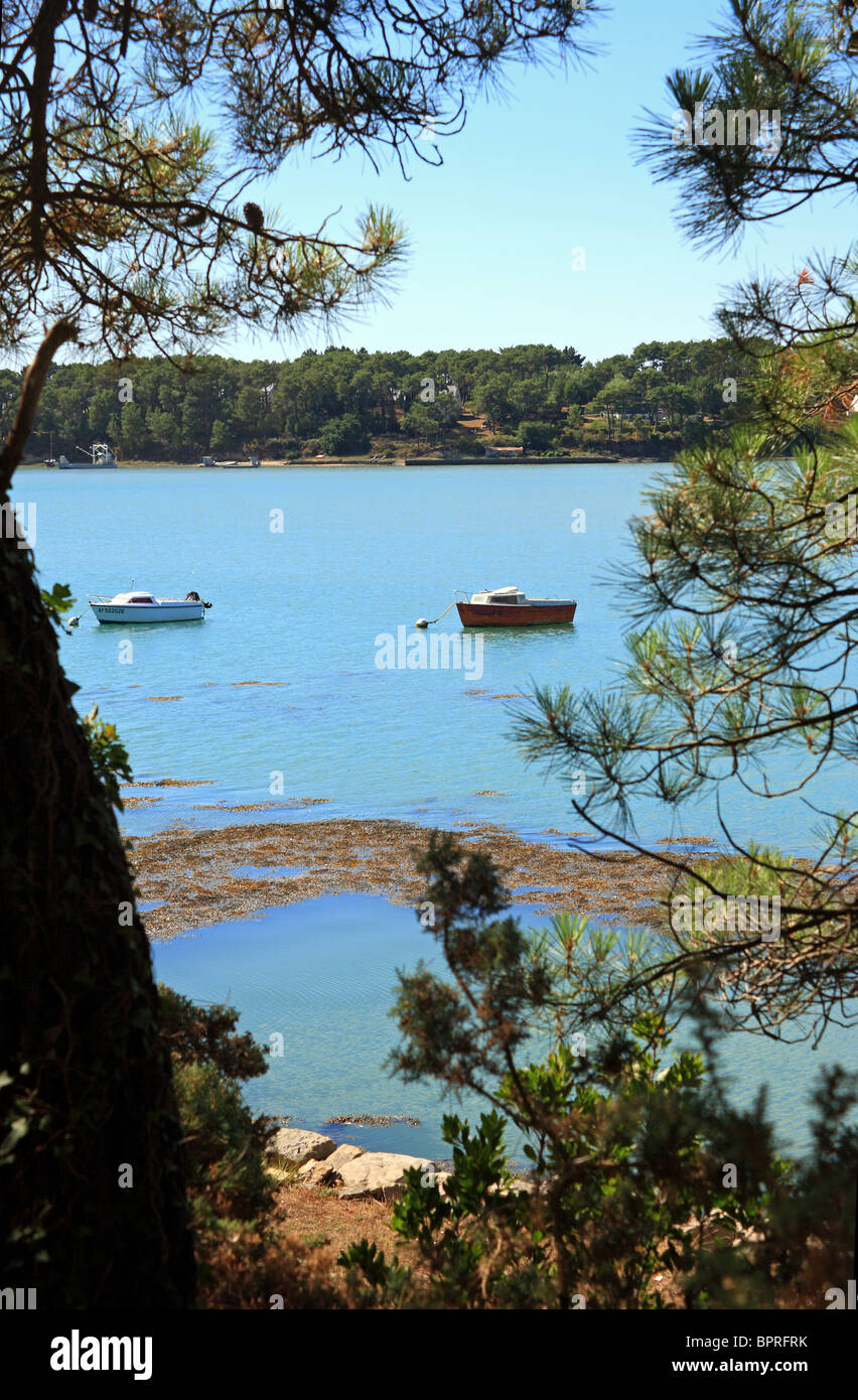 View through trees of moored boats on Anse de Baden, Baden, Golfe du ...