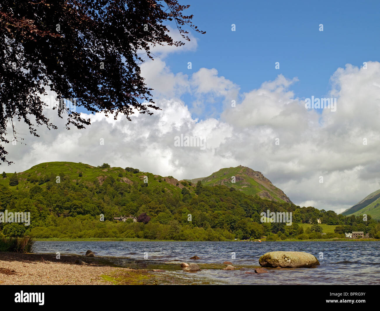 View across Grasmere towards Helm Crag in summer Cumbria Lake District ...
