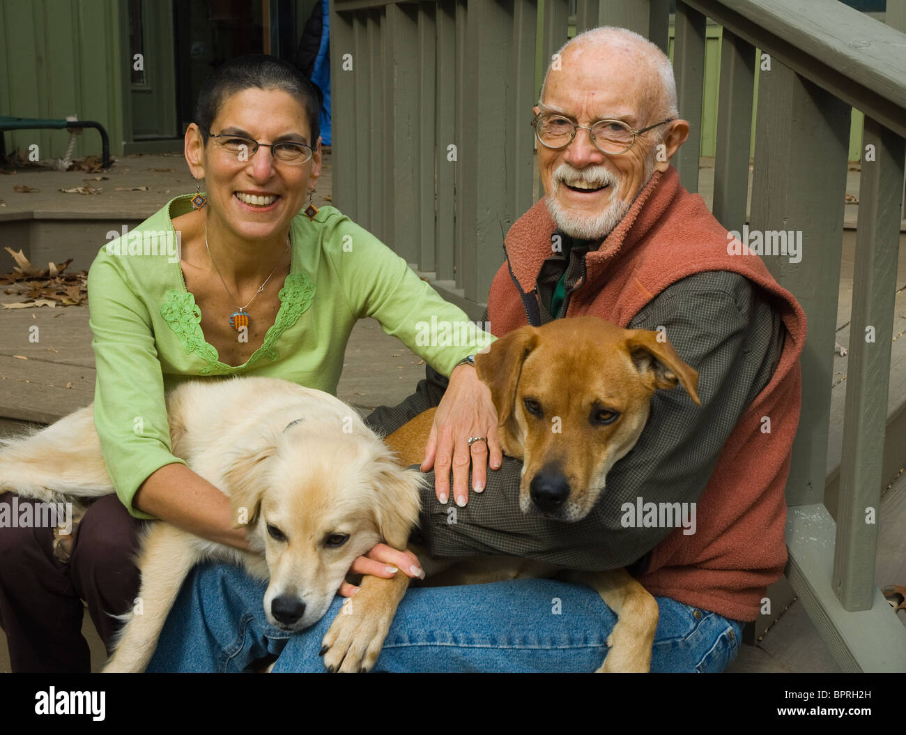 People and their dogs Stock Photo - Alamy