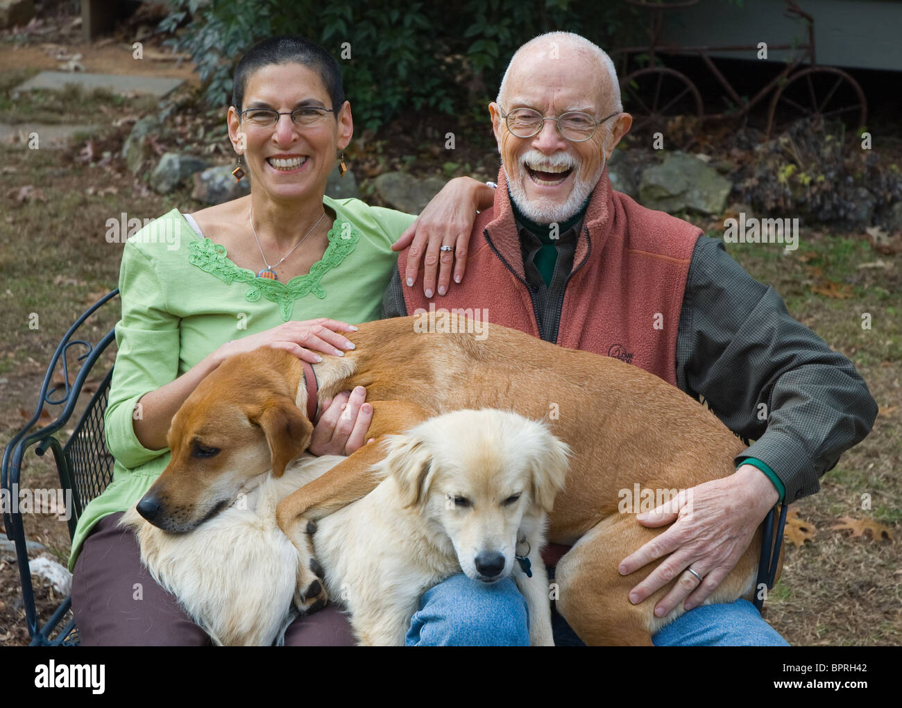 People and their dogs Stock Photo - Alamy