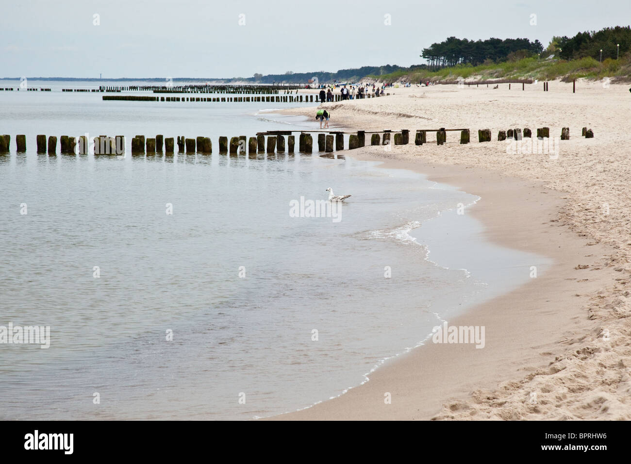Breakwaters are structures constructed on coasts as part of coastal ...