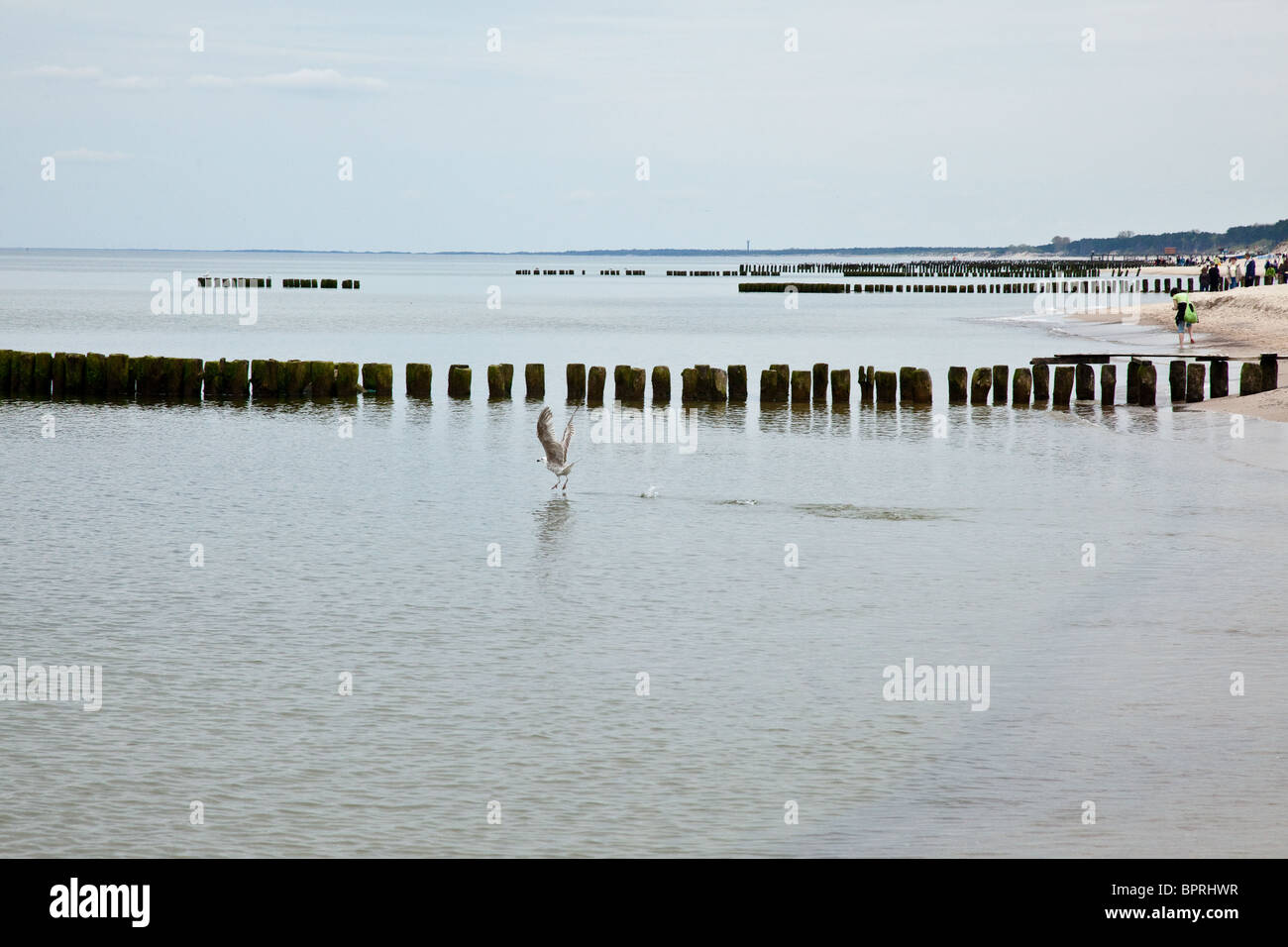 Breakwaters are structures constructed on coasts as part of coastal ...
