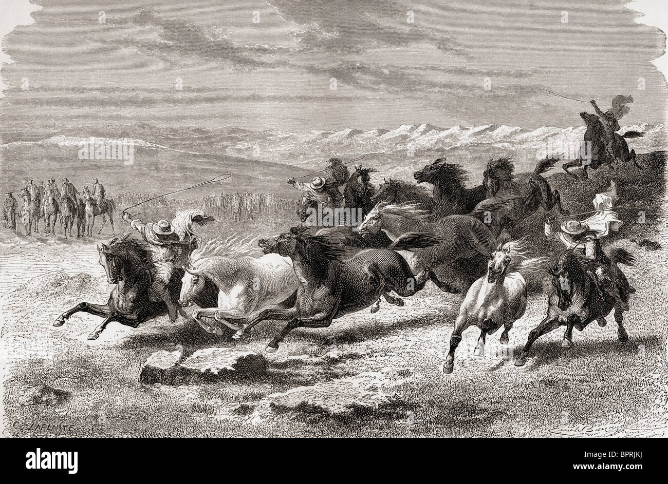 Rounding up wild horses hi-res stock photography and images - Alamy