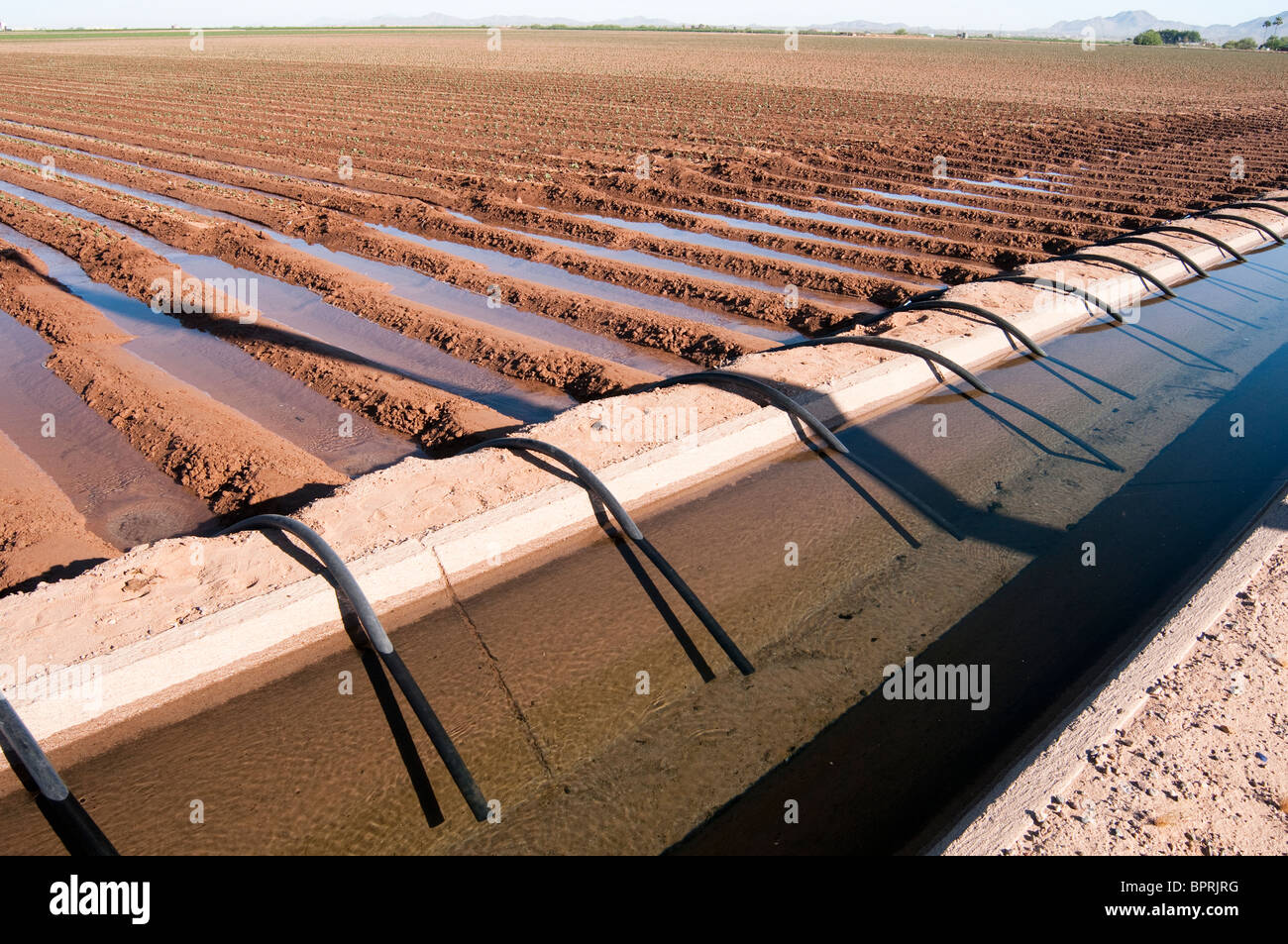 Siphon tubes hi-res stock photography and images - Alamy