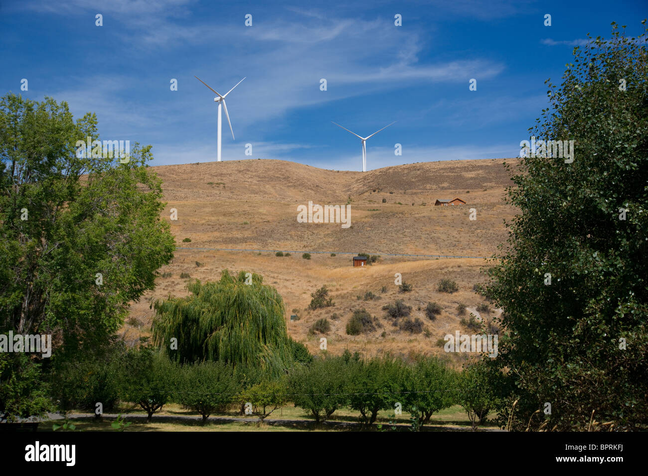 Alternative green energy rotary wind turbine Stock Photo - Alamy