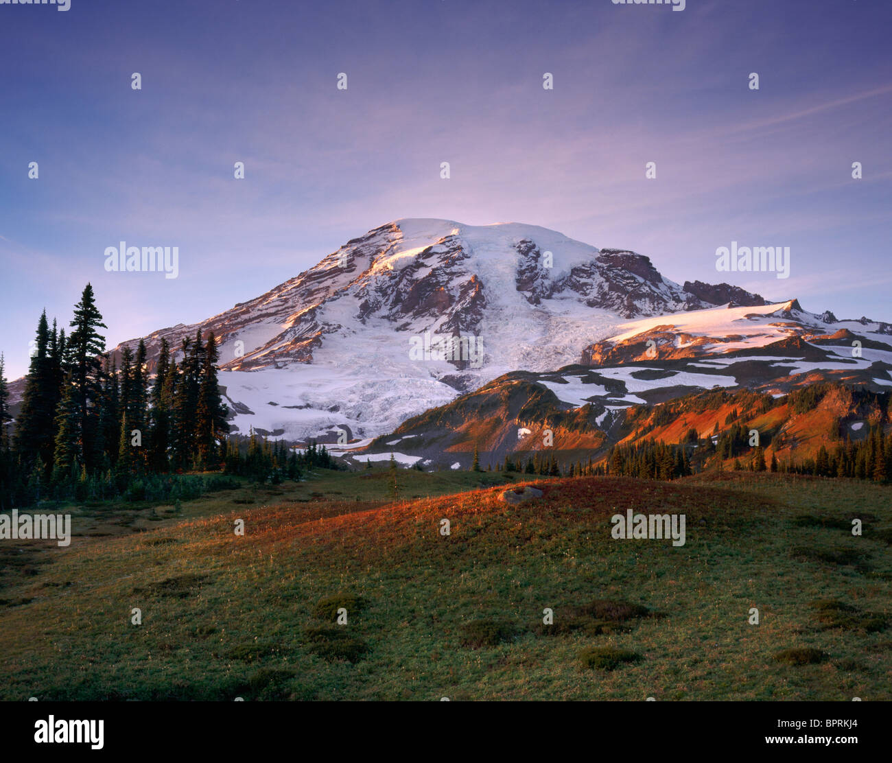 Mount Rainier 14,411 ft (4,392 m) from Mazama Ridge, Mount Rainier ...