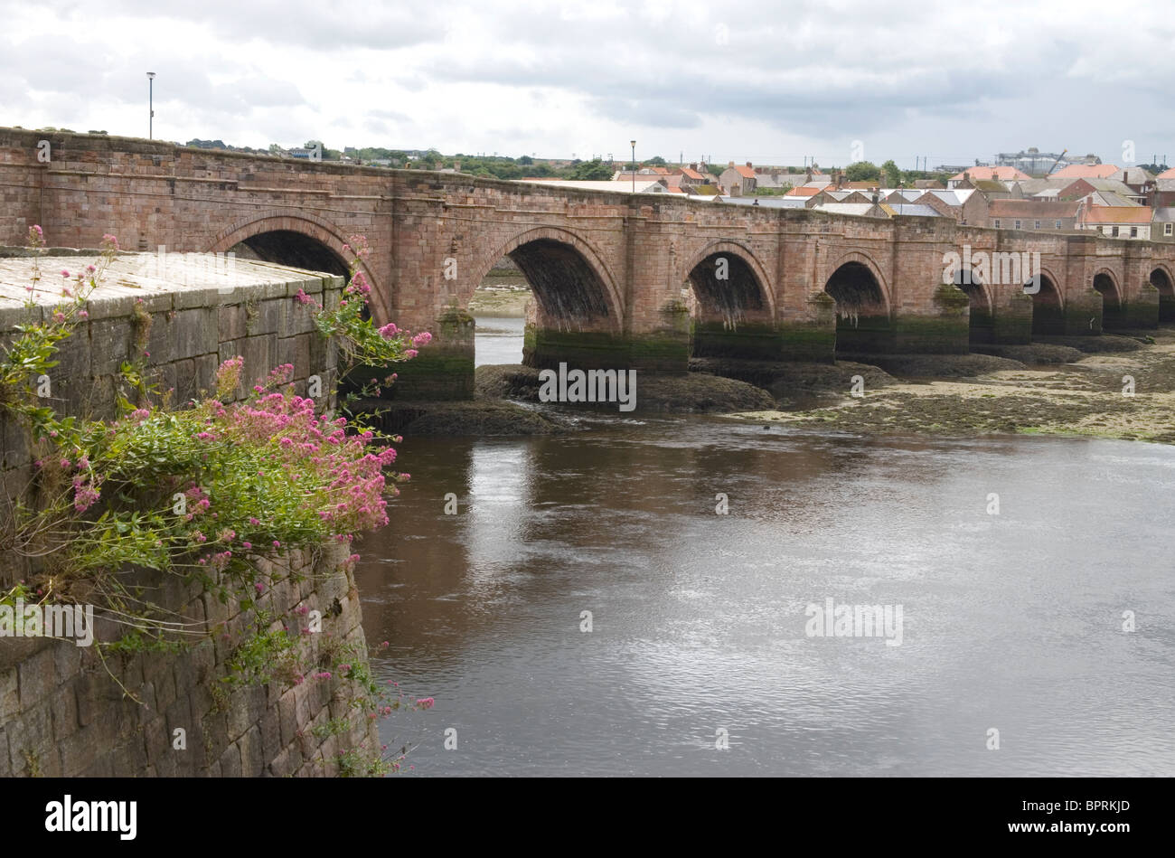 Berwick upon tweed coast hi-res stock photography and images - Alamy