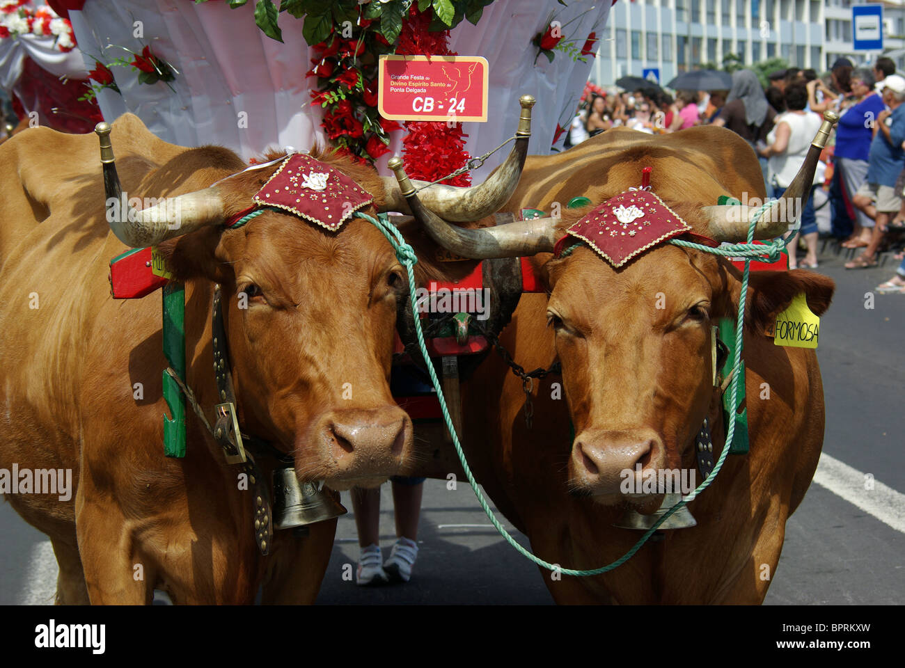 Holy ghost festival azores hi-res stock photography and images - Alamy