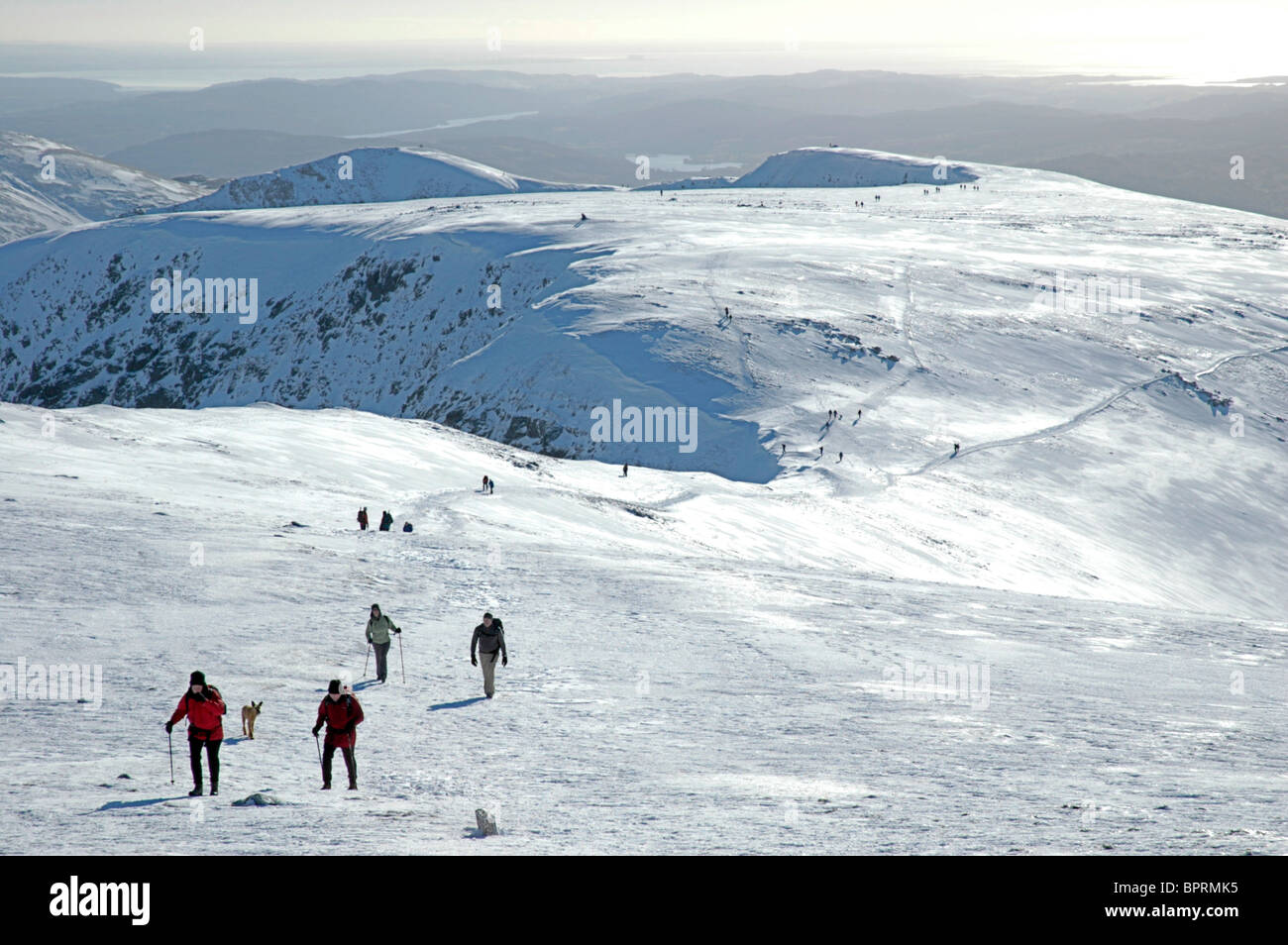 Hill walkers approaching the snow covered summit of Helvellyn in the ...