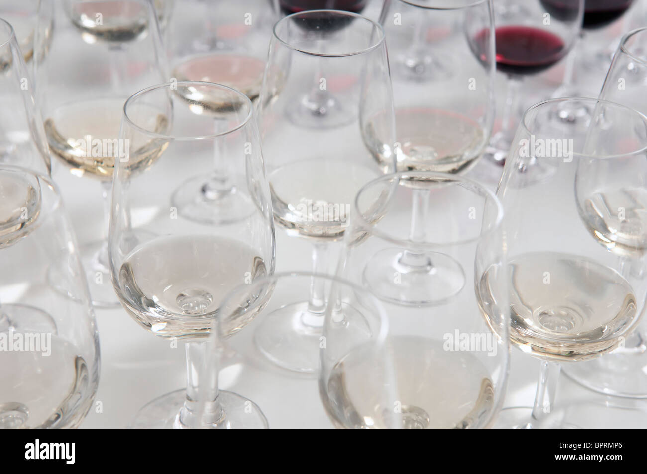 Winetasting glasses aligned for a taste of red and white wines Stock ...
