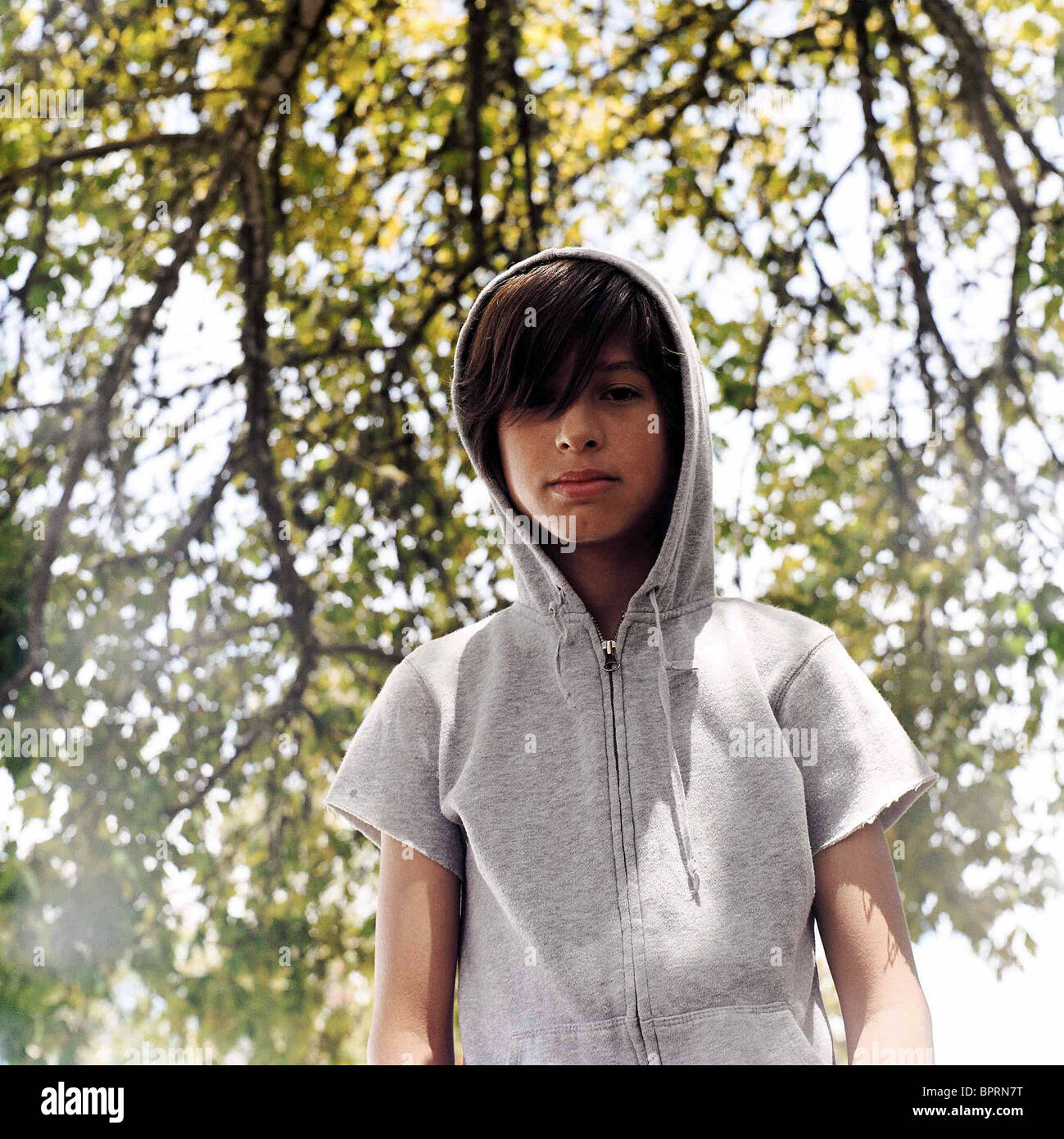 Stumpf High Resolution Stock Photography and Images - Alamy