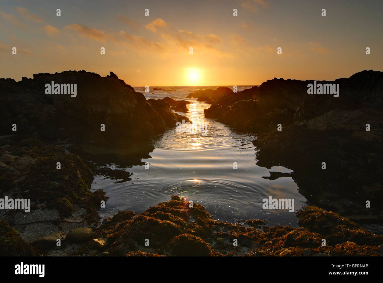 Rocky Asilomar Beach in Monterey Bay at sunset Stock Photo - Alamy