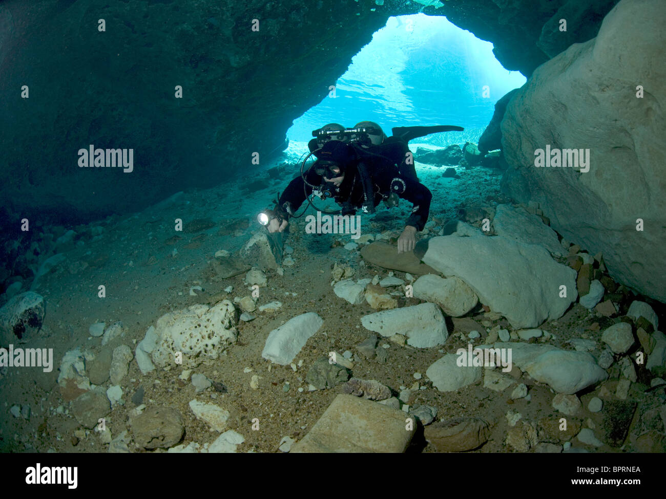 Cave diver entering Jackson Blue, Marianna, Florida, USA Stock Photo ...