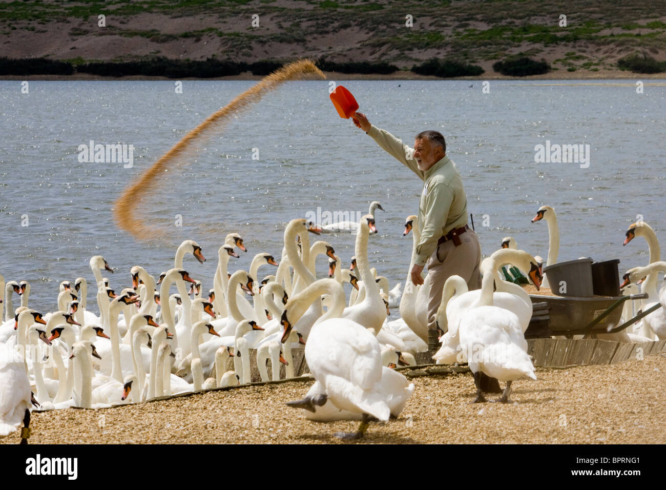 Feeding the fleet hi-res stock photography and images - Alamy