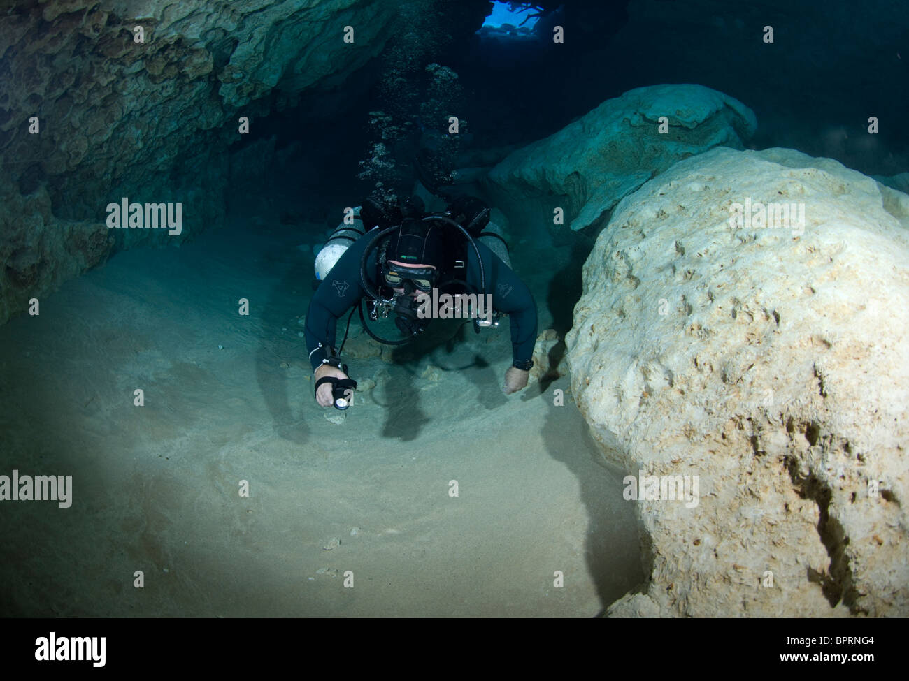 Cave Diver in Jackson Blue, Marianna, Florida, USA Stock Photo - Alamy