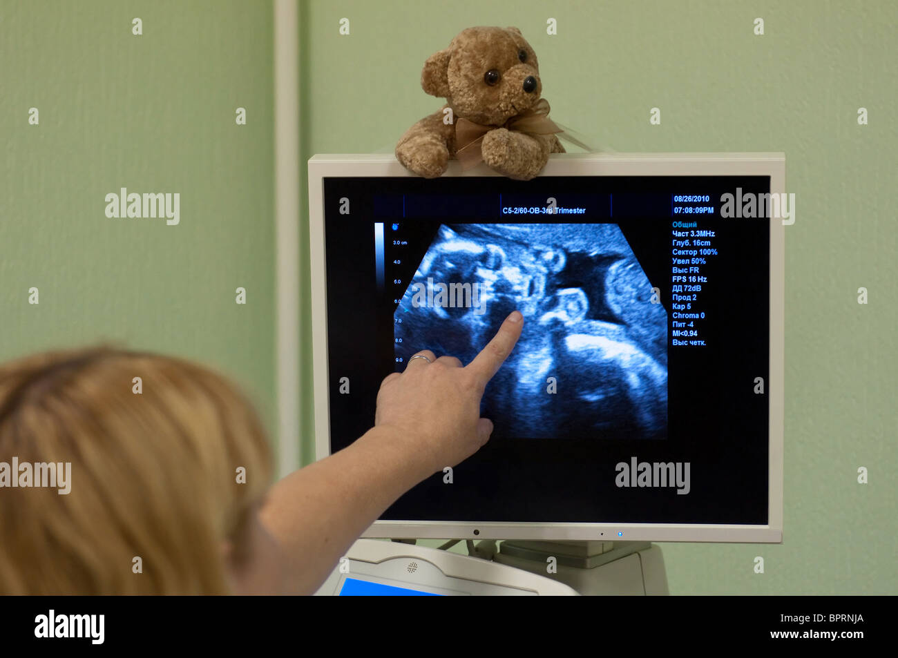 Obstetrician examining pregnant belly by ultrasonic scan Stock Photo ...