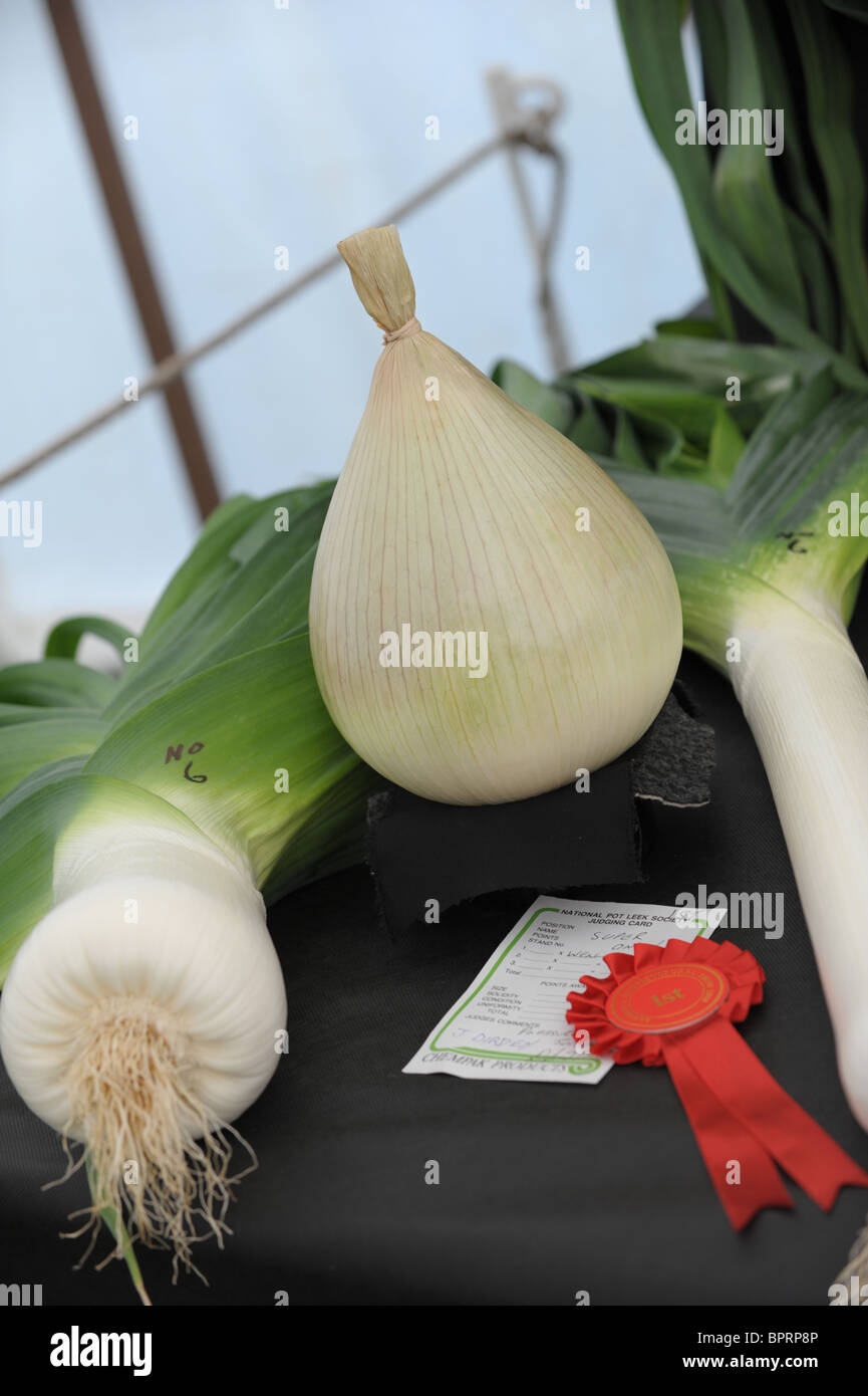 A giant first prize onion and two leeks with winning red rosette on ...