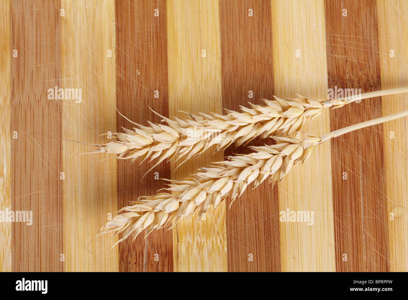 Wheat border frame autumn hi-res stock photography and images - Alamy