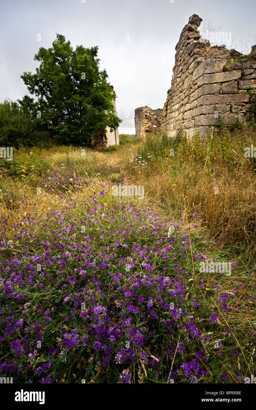 Ruins of an abandoned village in northern Spain Stock Photo - Alamy