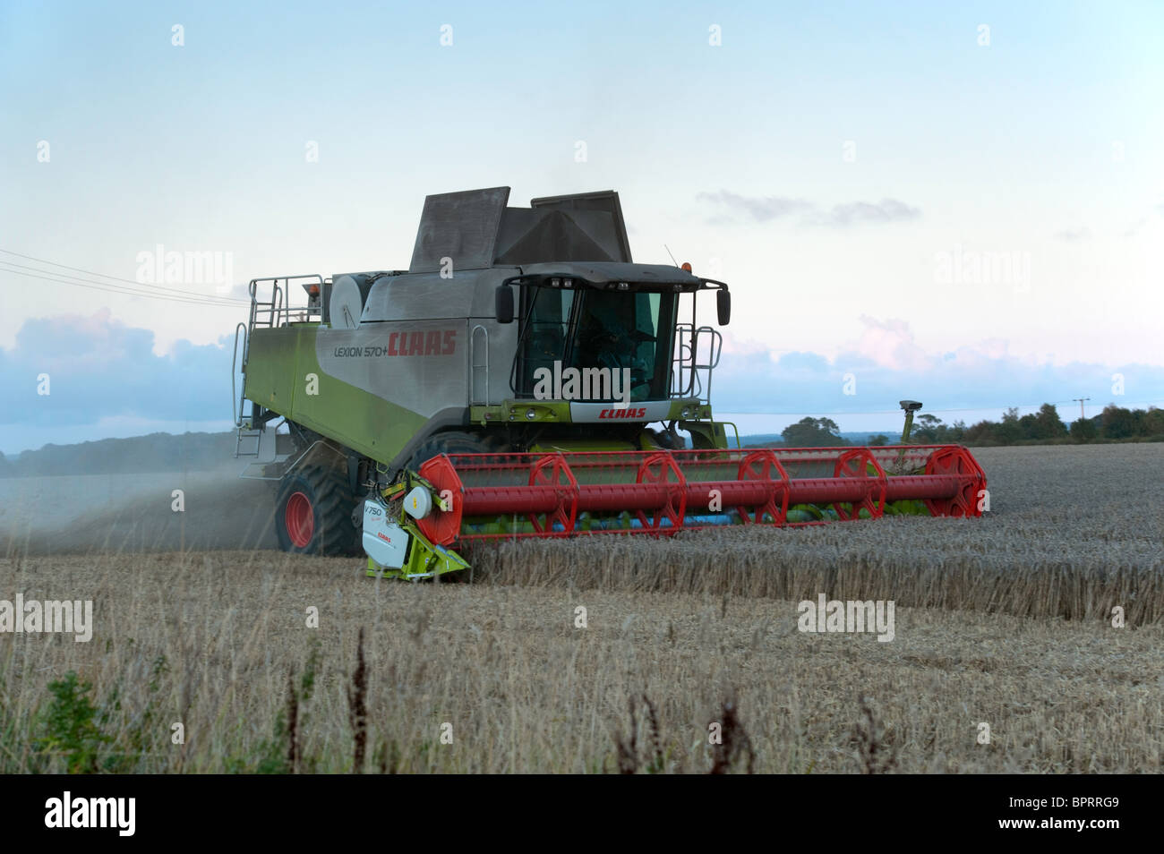 Claas Lexion 570+ combine working in field of wheat Stock Photo - Alamy