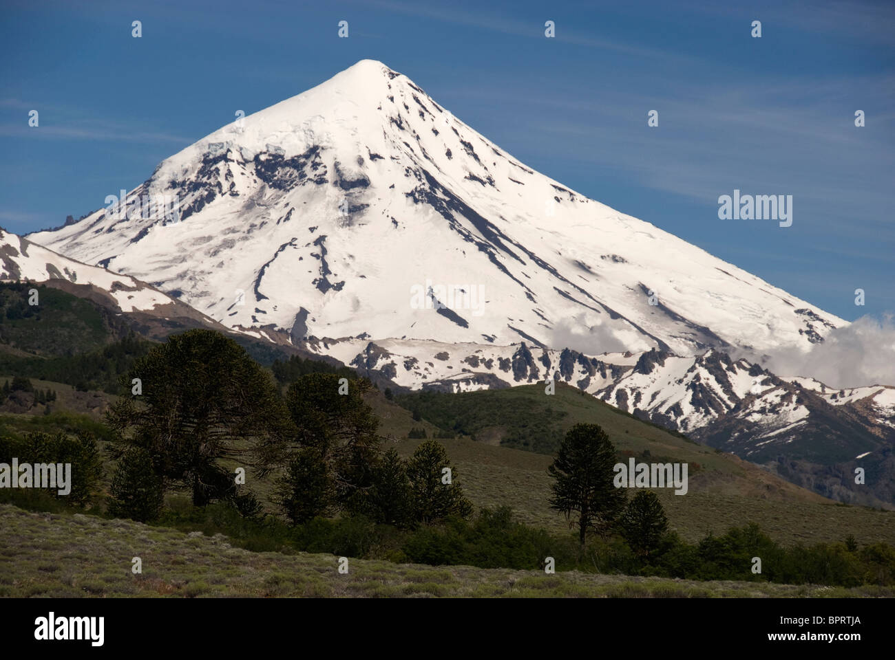Argentina parque nacional lanin hi-res stock photography and images - Alamy