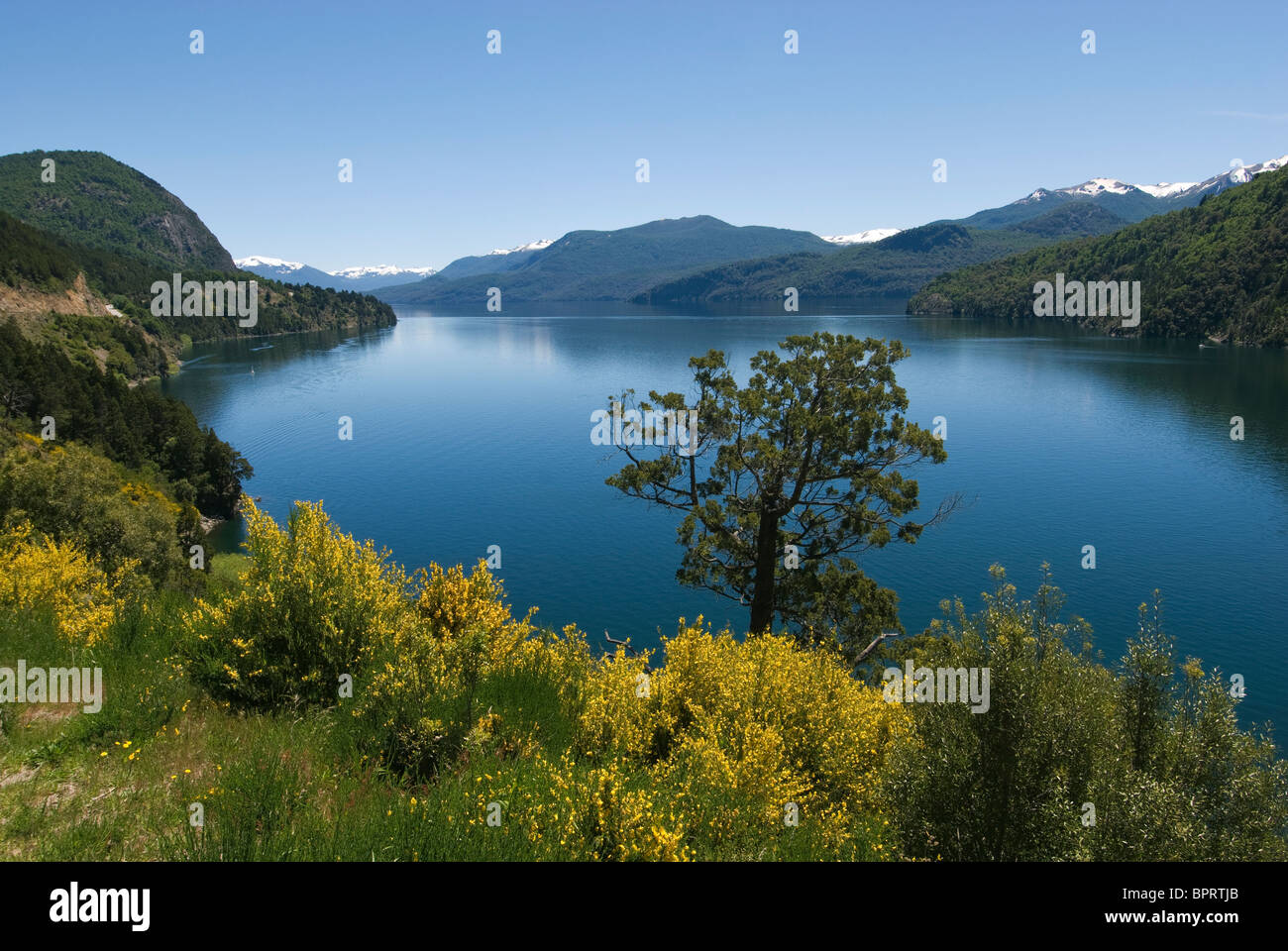 Elk199-1241 Argentina, Parque Nacional Lanin National Park, Lago Lacar ...