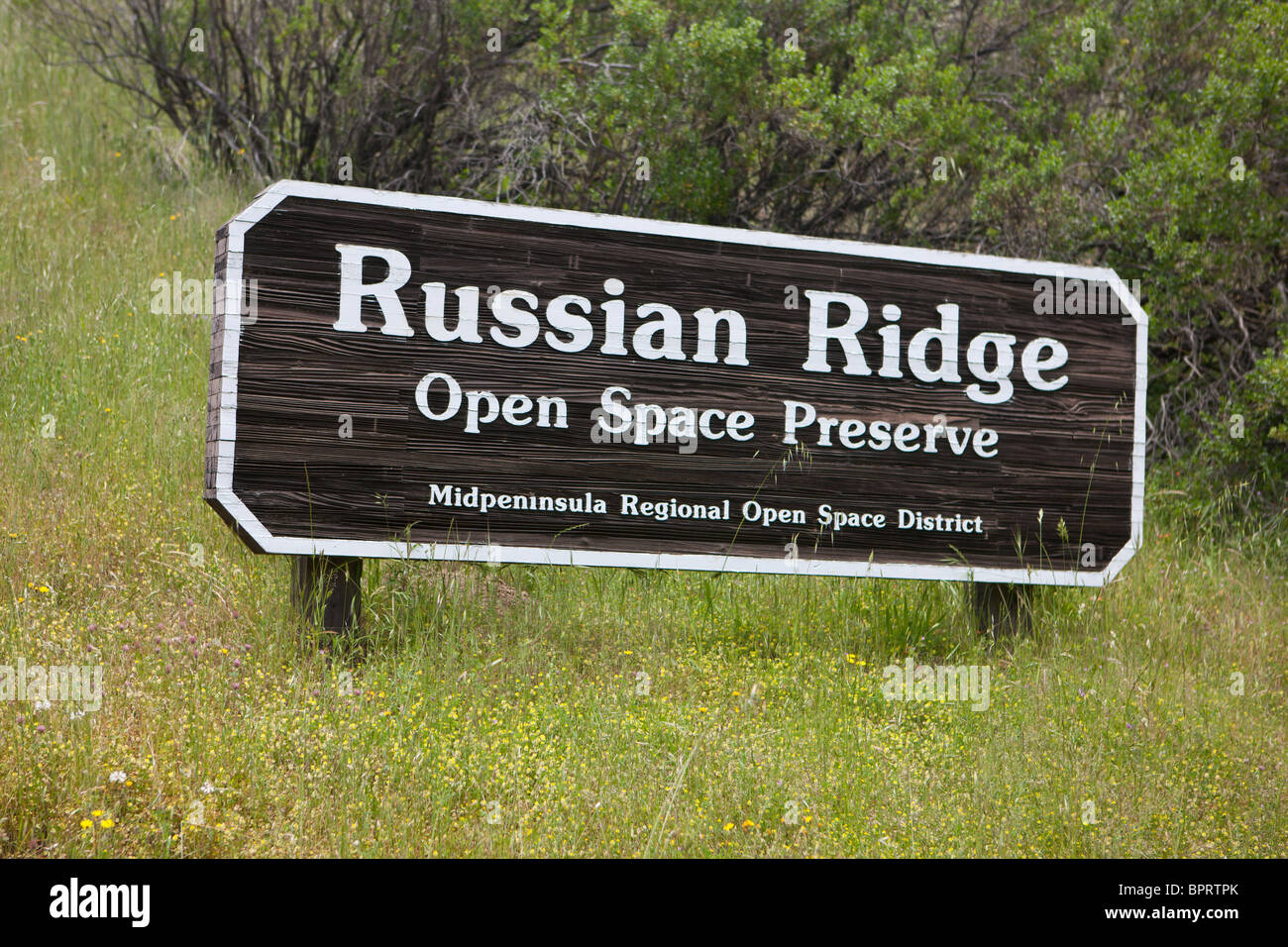 Russian Ridge Open Space hiking trails, Palo Alto, California, United ...