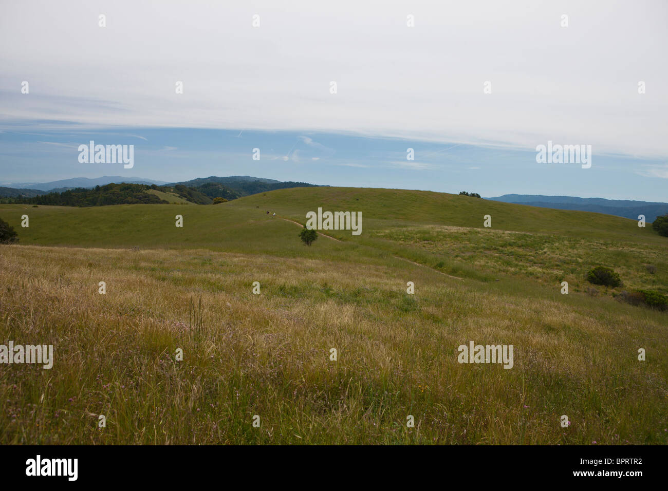 Russian ridge hi-res stock photography and images - Alamy