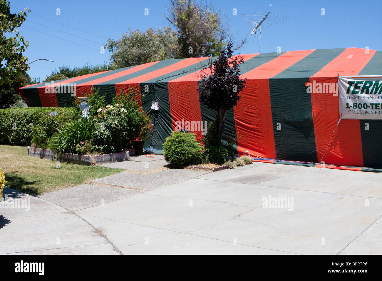 Fumigate hi-res stock photography and images - Alamy