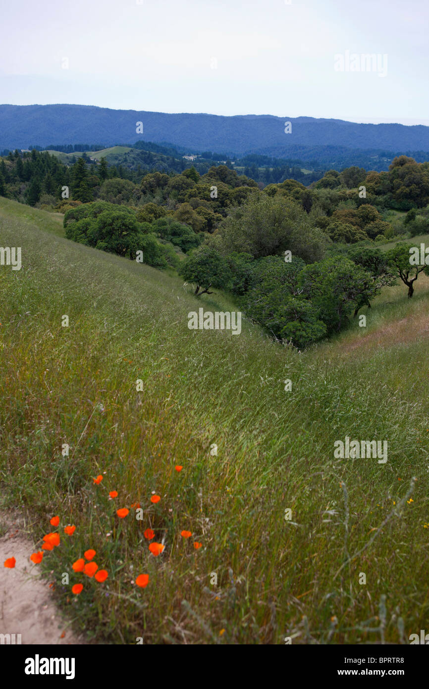 Russian Ridge Preserve High Resolution Stock Photography and Images - Alamy