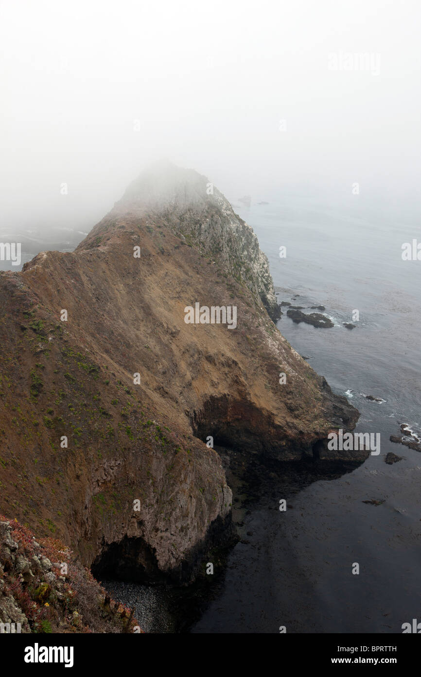 Cliffs covered with mist, Anacapa Island, Channel Islands National Park ...