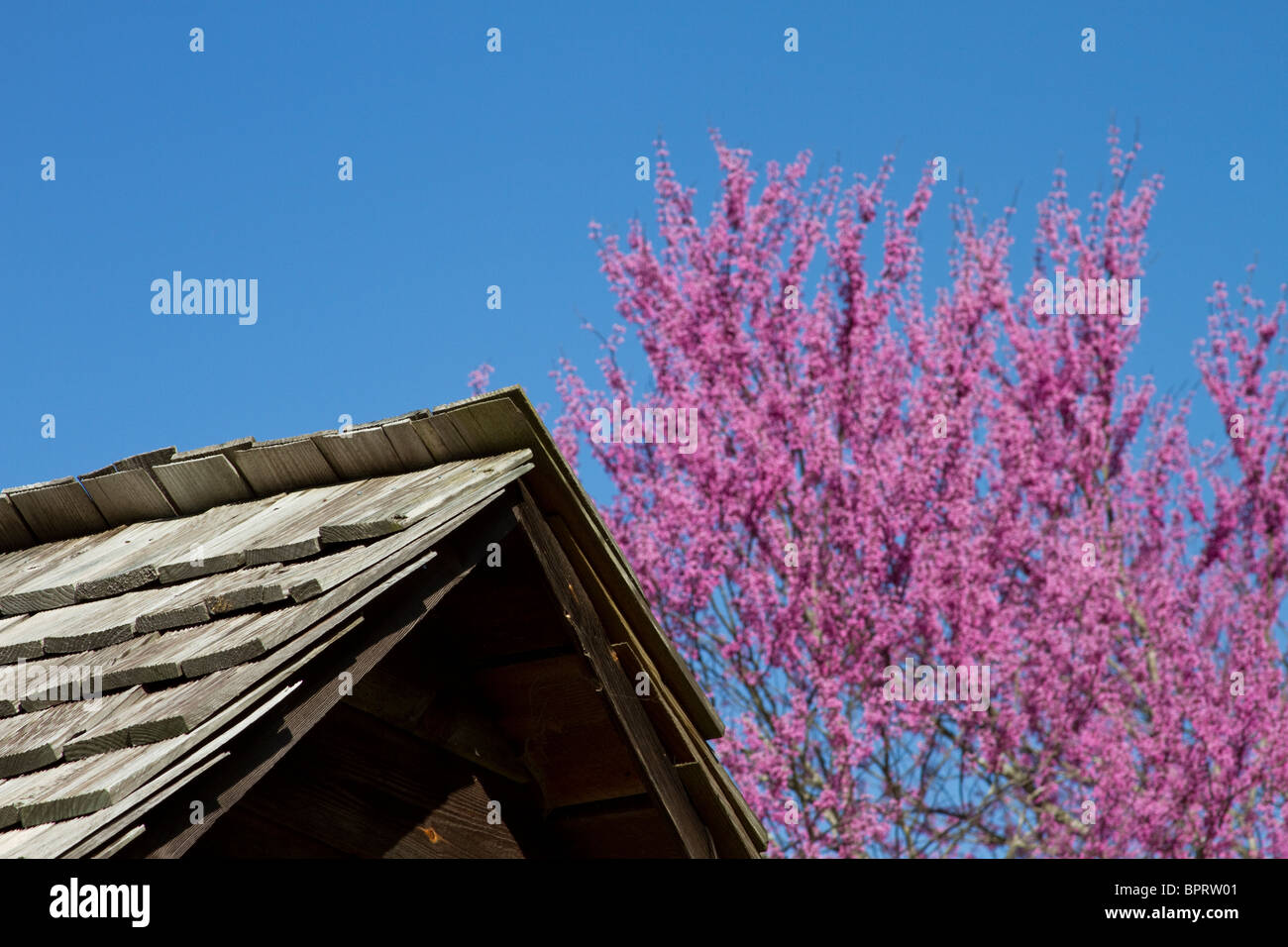 Shown here is an up close view of the ridge line on a roof, with an ...