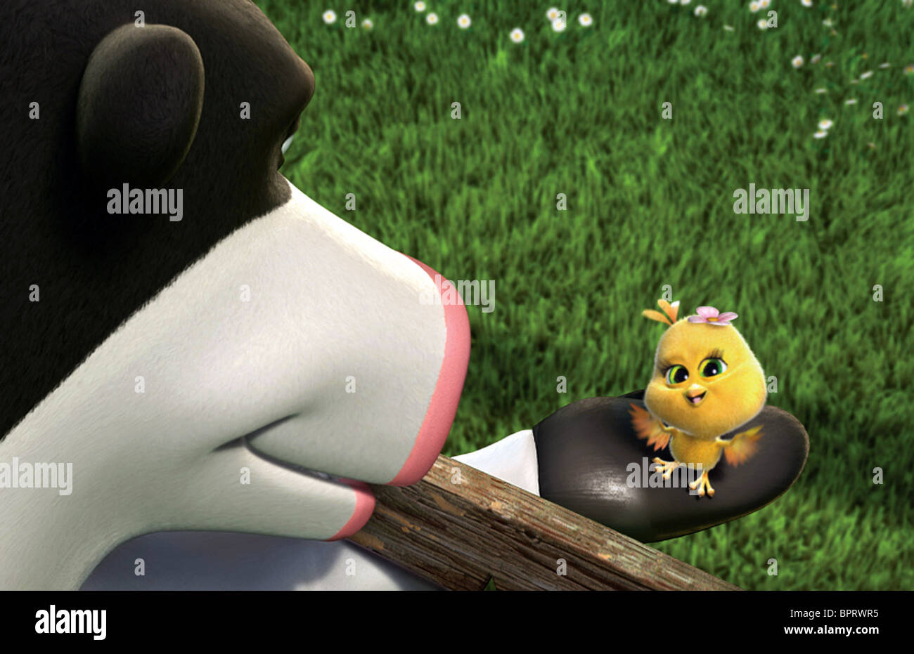 Maddy Was High Resolution Stock Photography and Images - Alamy