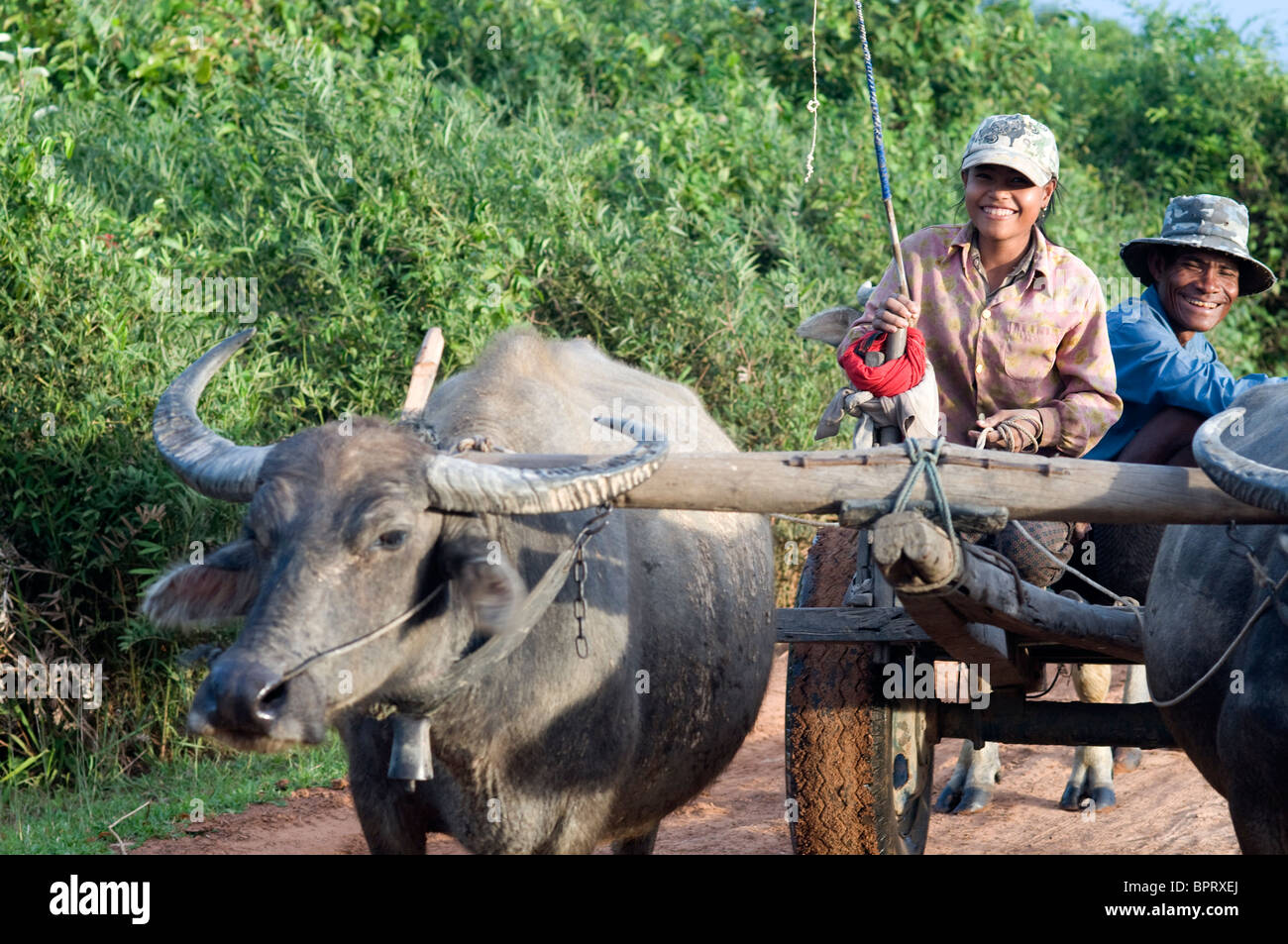 Driving oxen hi-res stock photography and images - Alamy