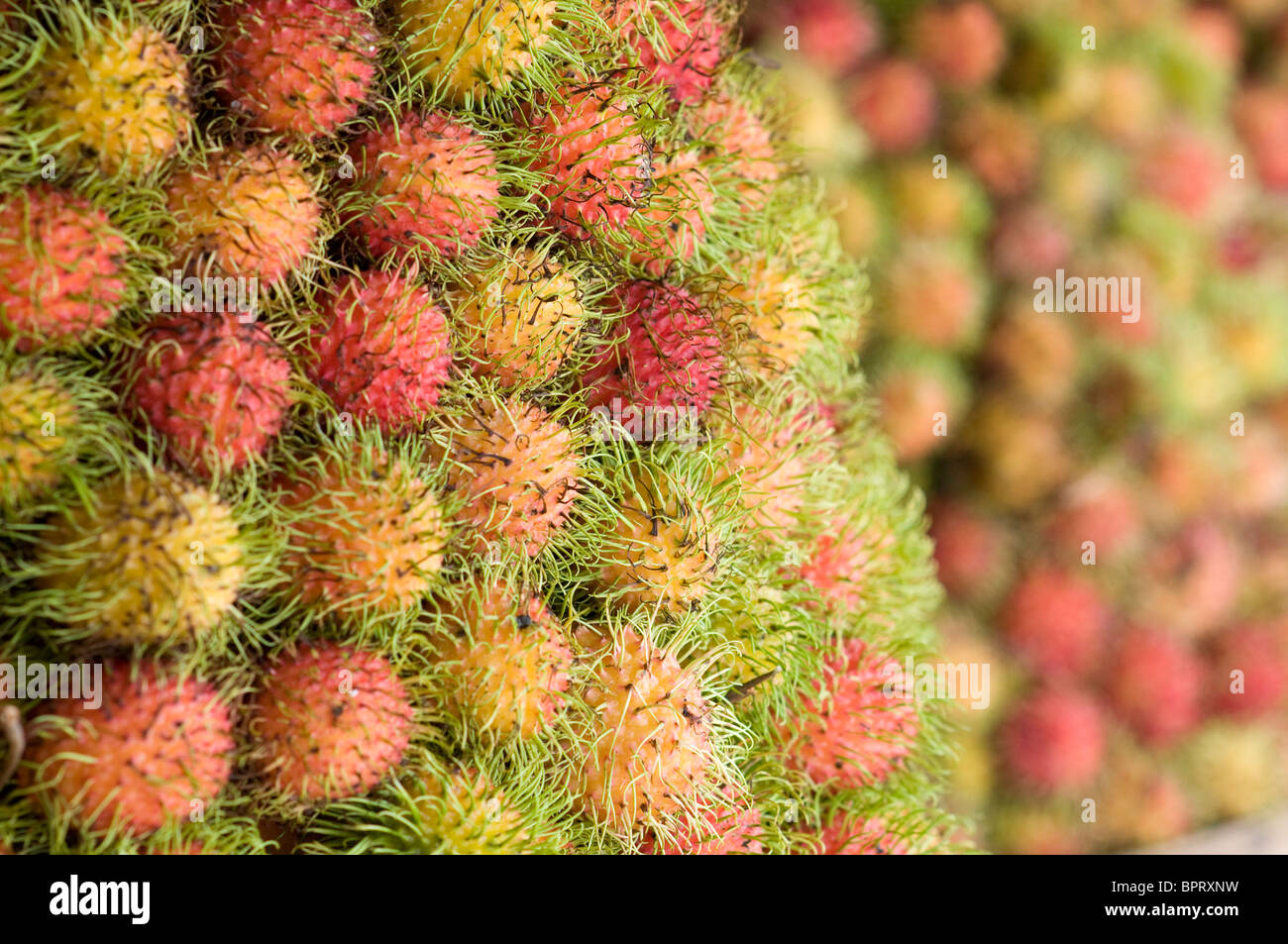 Kompong Cham, Cambodia Stock Photo - Alamy