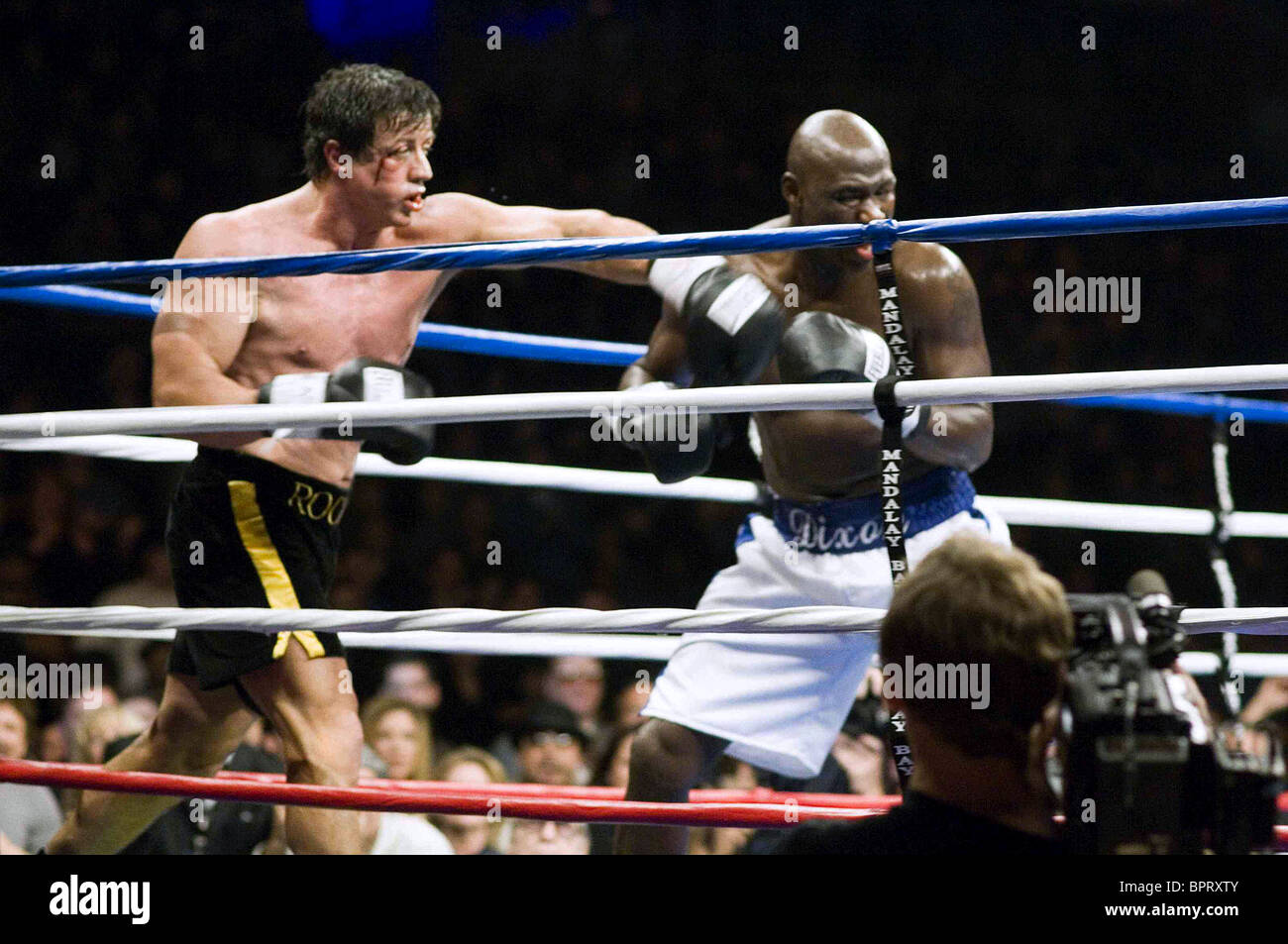 Rocky Balboa Sylvester Stallone High Resolution Stock Photography and ...