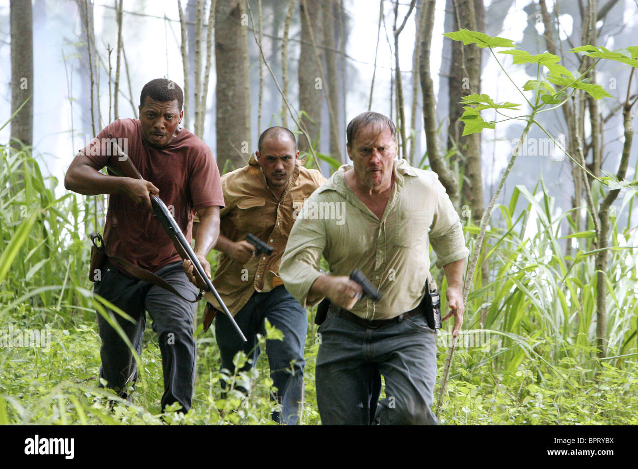 Tv Green Screen High Resolution Stock Photography and Images - Alamy