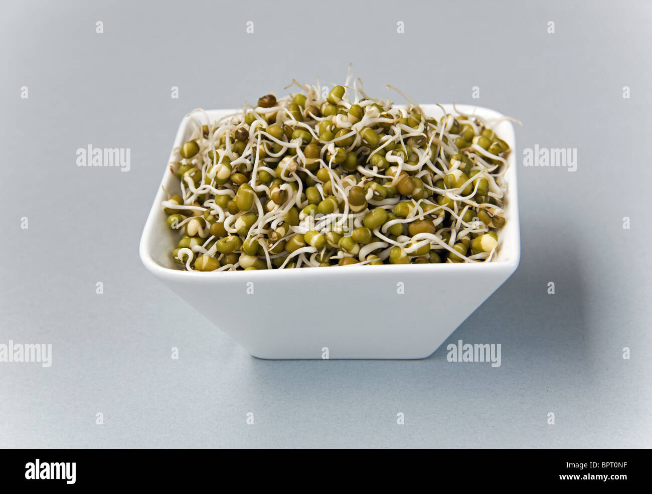 green gram sprouts against light grey background Stock Photo - Alamy