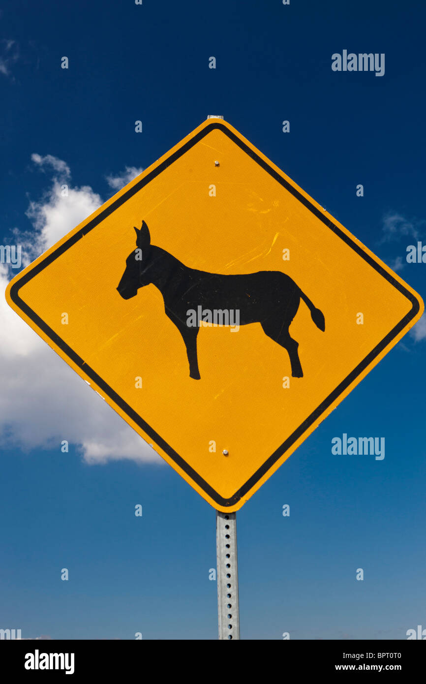 Donkey crossing road sign, The Big Island, Hawaii, United States of ...