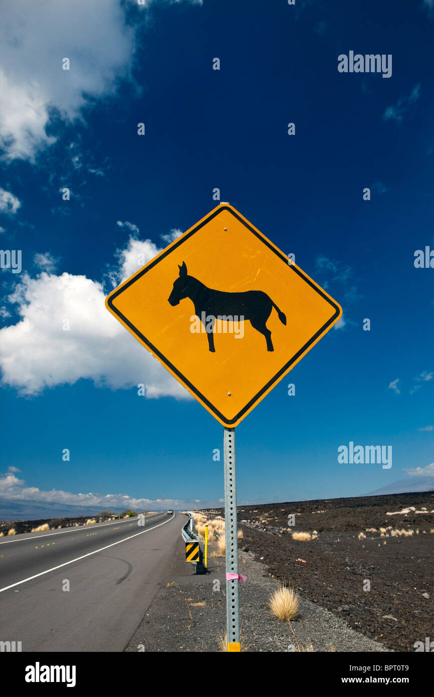 Donkey crossing road sign, The Big Island, Hawaii, United States of ...