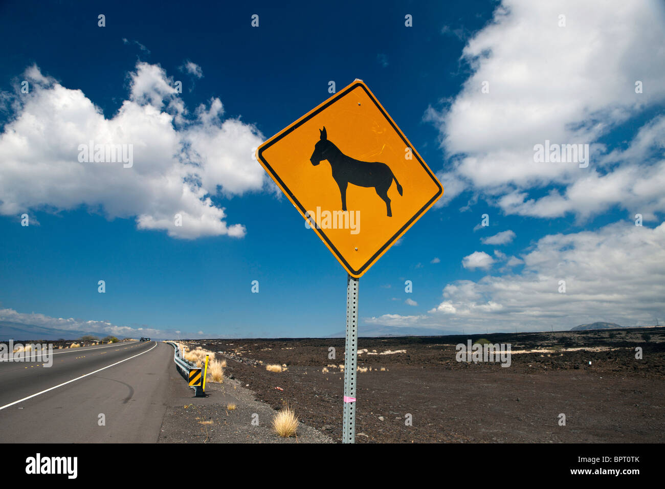 Donkey crossing road sign, The Big Island, Hawaii, United States of ...