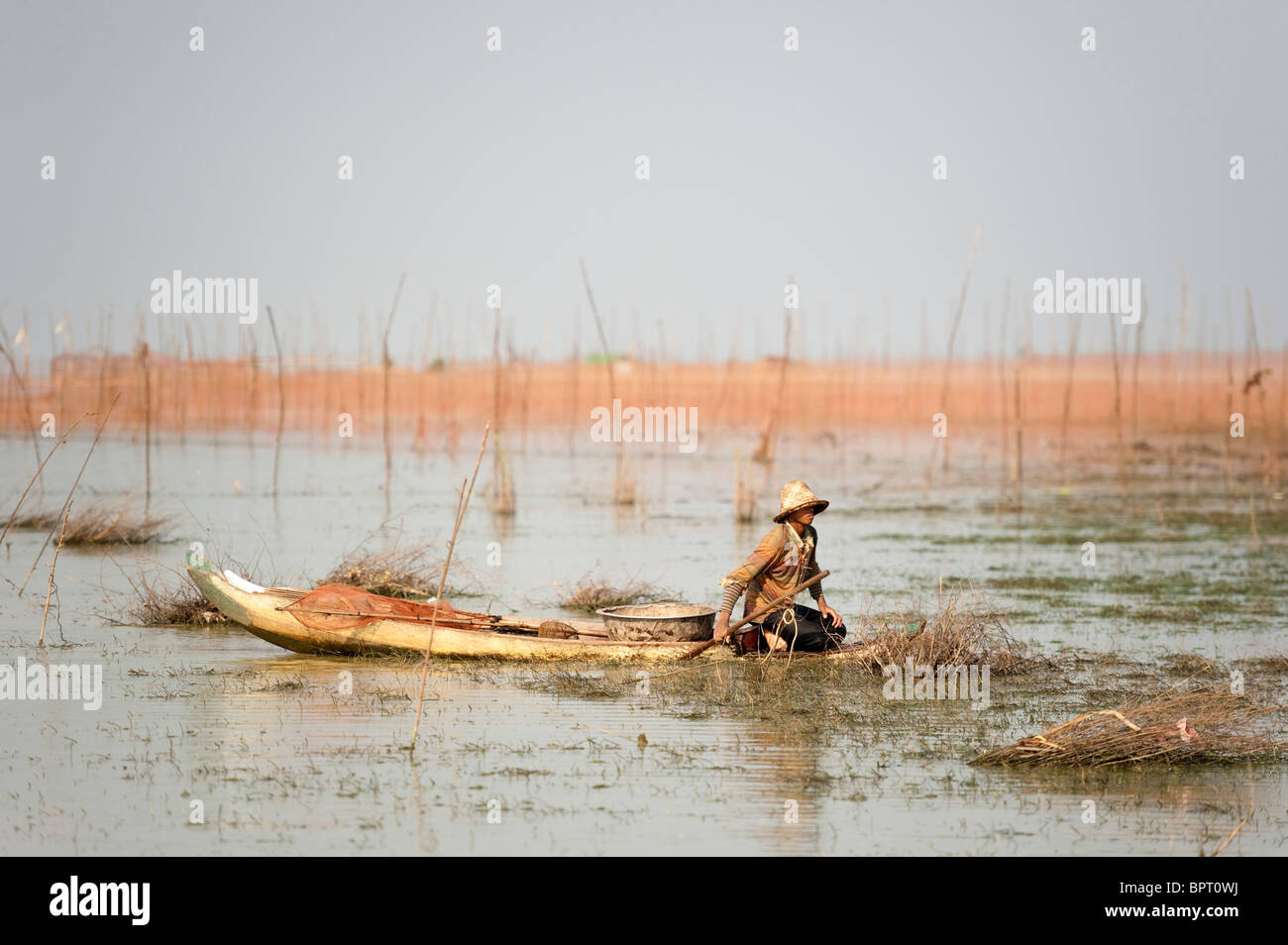 Fish farming on Tonle Sap Lake near Siem Reap, Cambodia Stock Photo - Alamy