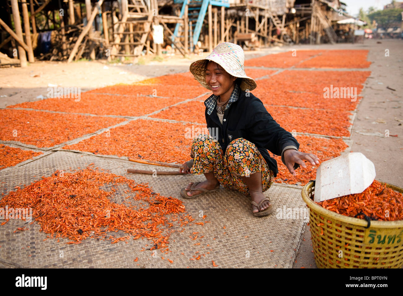 Shrimp drying in a stilted village on Tonle Sap Lake near Siem Reap ...
