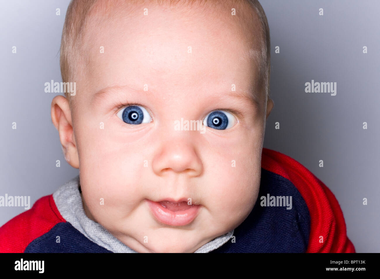 10 week old hi-res stock photography and images - Alamy