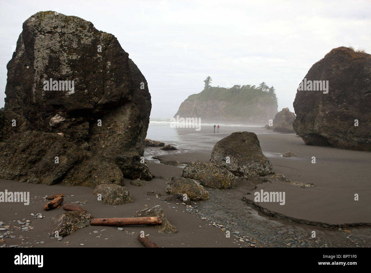 Sea stack on Ruby Beach at morning with foggy mist, Olympic National ...